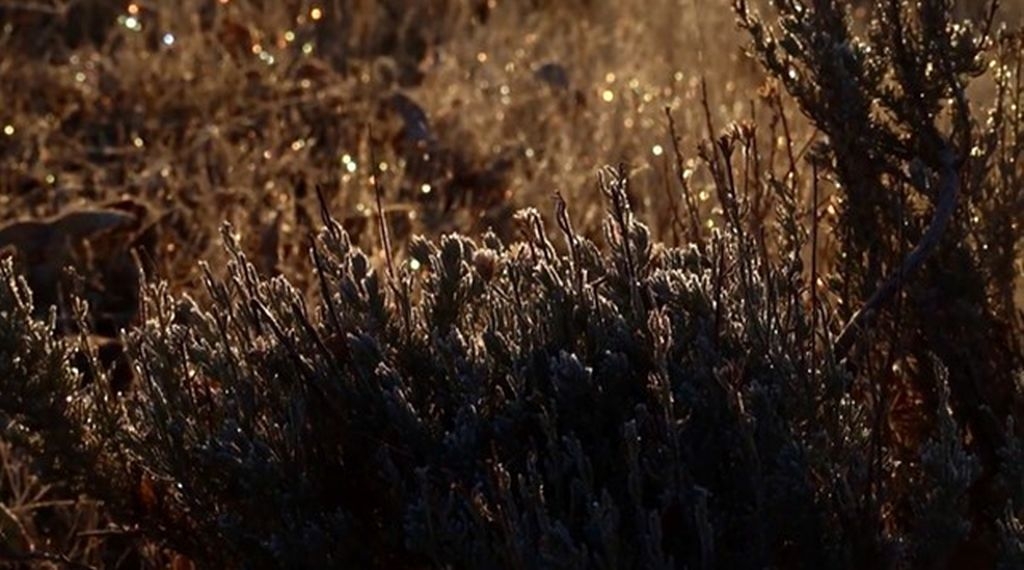 A look at Patagonia: A learning and teaching toolkit - National Library ...